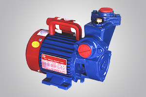 Crompton mini ganga 0.5 hp store